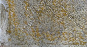 The art of Rufino Tamayo